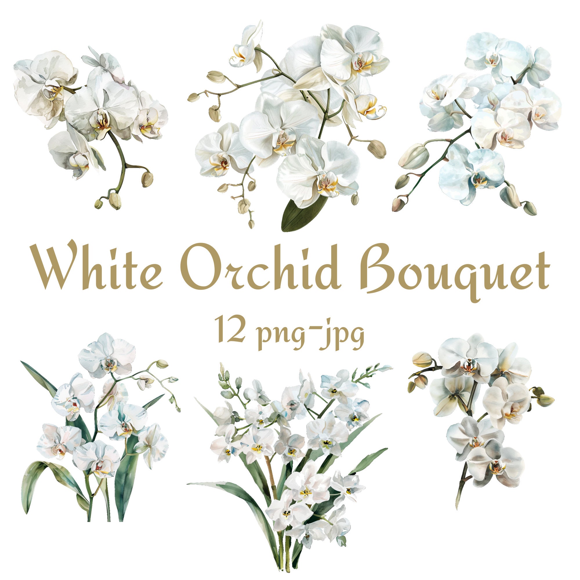 12 White Orchid Bouquet Clipart, Wedding Bridal Shower White Orchid ...
