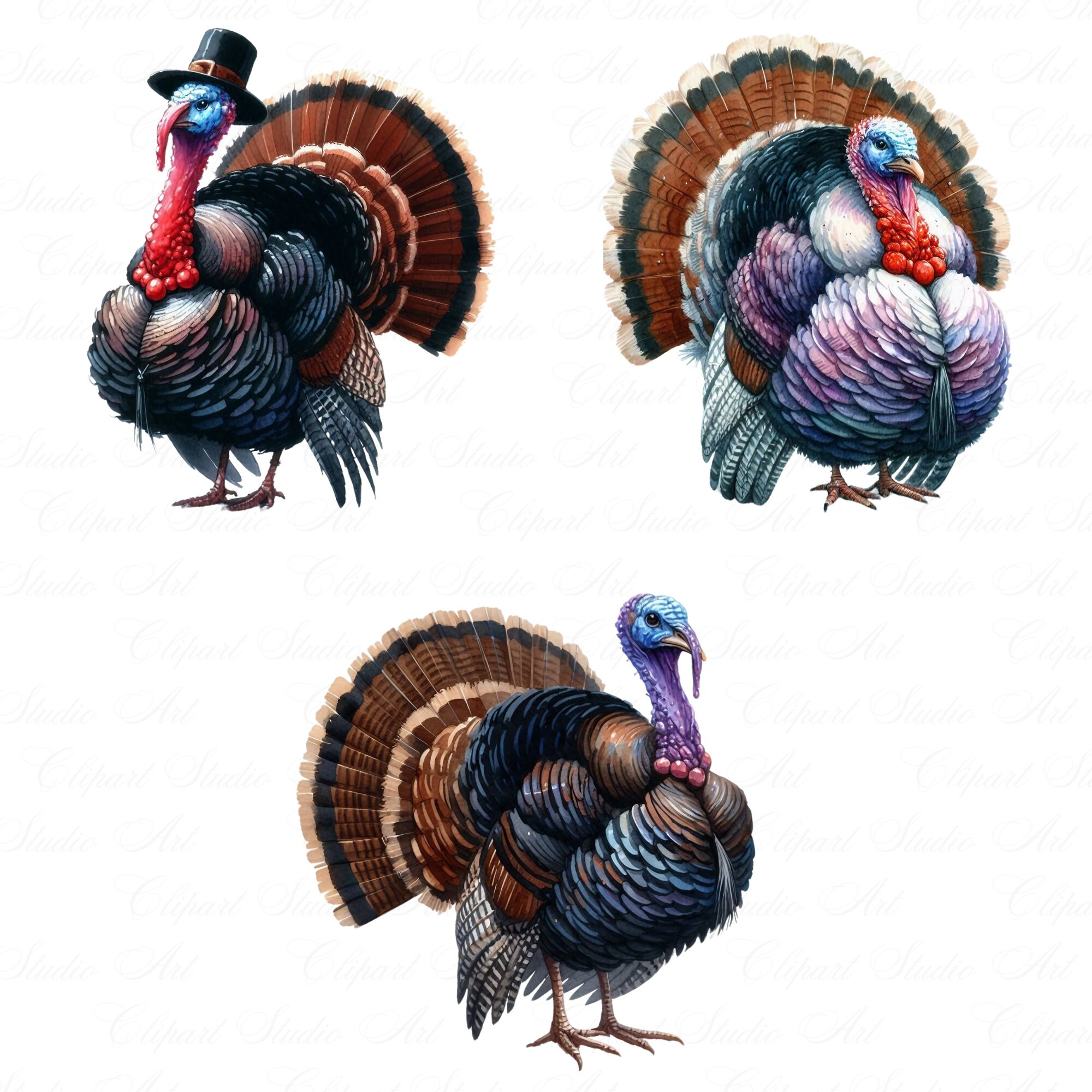 19 Turkey Clipart, Various and Colorful Turkeys Clipart, Watercolor ...
