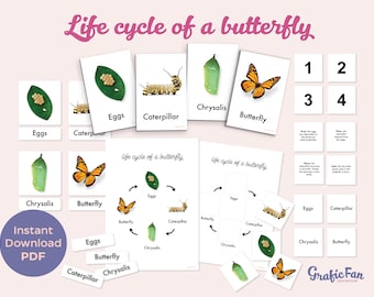 Life Cycle of a Butterfly / Montessori / Digital 3 Part Cards ...