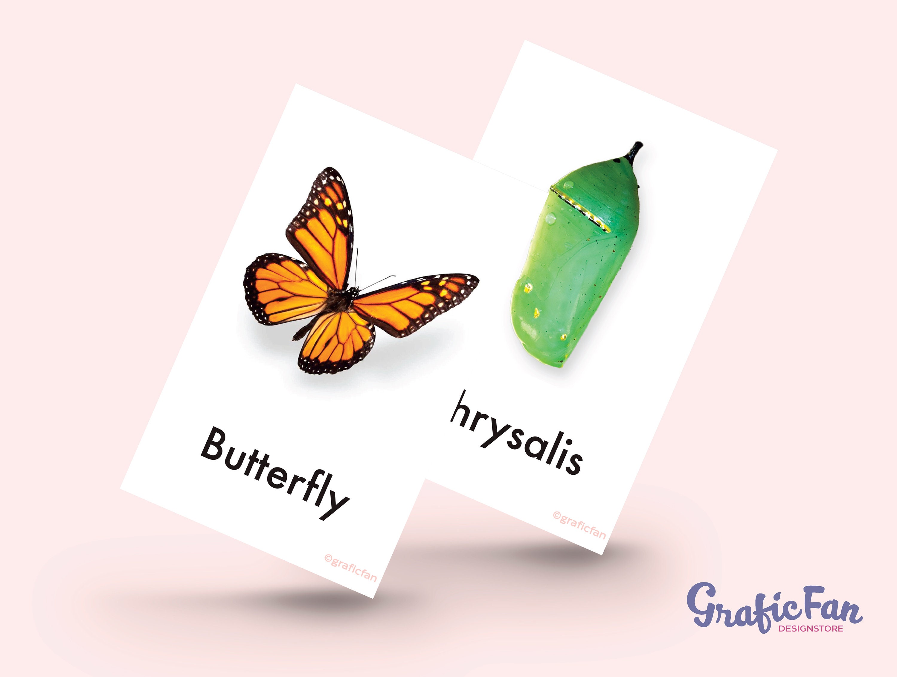 Montessori Life Cycle of a Butterfly / Digital 3 Part Cards ...