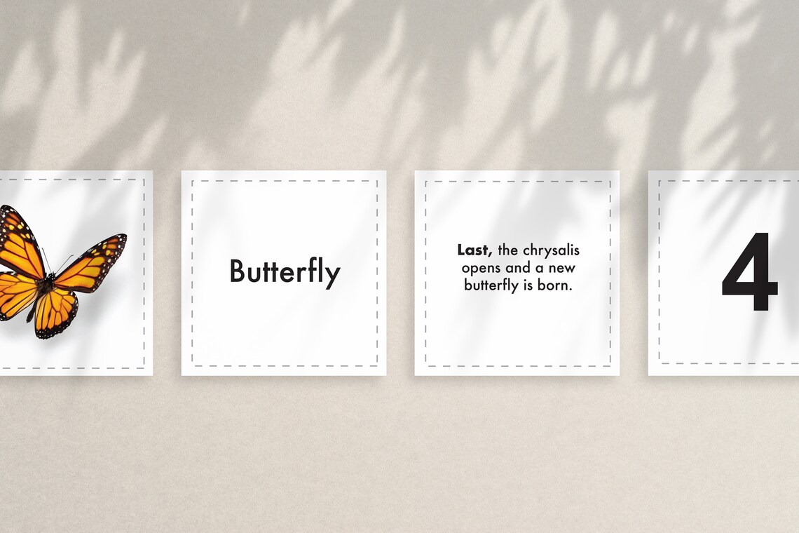 Life Cycle of a Butterfly / Montessori / Digital 3 Part Cards ...