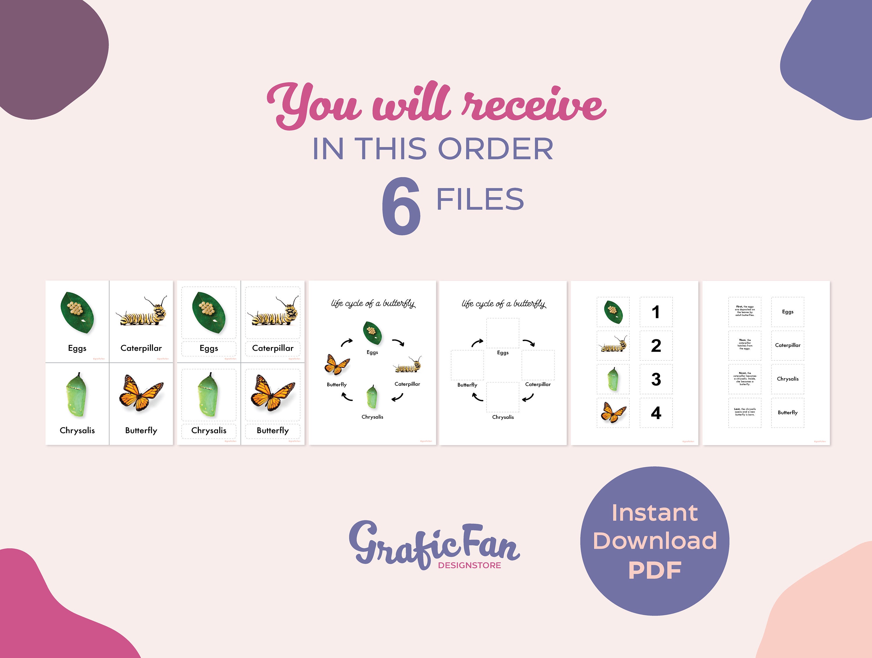 Montessori Life Cycle of a Butterfly / Digital 3 Part Cards ...
