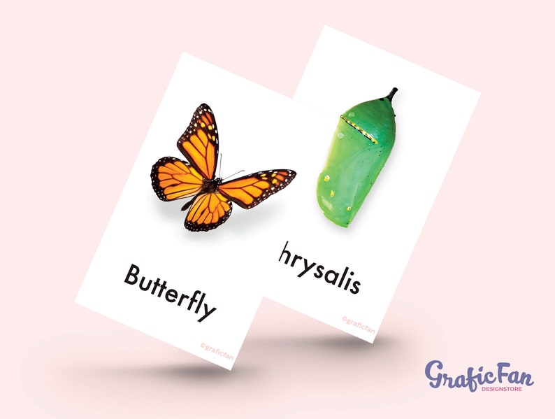 Life Cycle of a Butterfly / Montessori / Digital 3 Part Cards ...