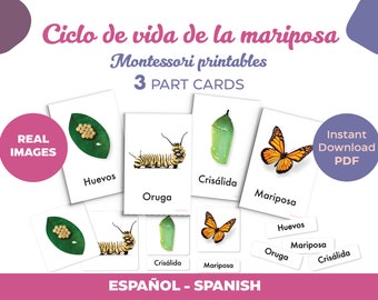 Life Cycle of a Butterfly / Montessori / Digital 3 Part Cards ...