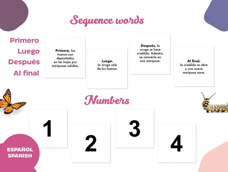 Spanish Life Cycle of a Butterfly Montessori / Digital 3 Flashcards ...