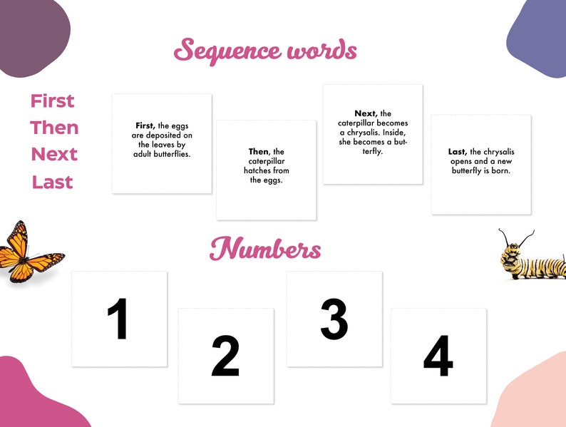Life Cycle of a Butterfly / Montessori / Digital 3 Part Cards ...