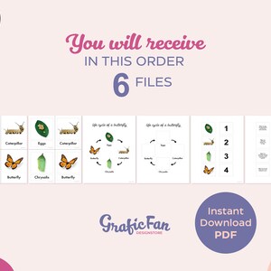 Life Cycle of a Butterfly / Montessori / Digital 3 Part Cards ...