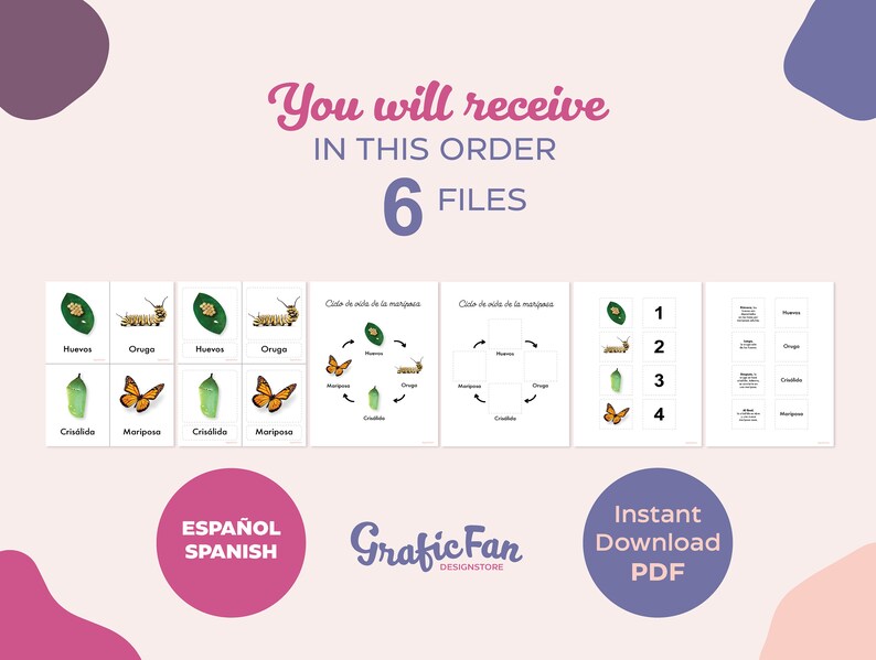 Spanish Life Cycle of a Butterfly Montessori / Digital 3 Flashcards ...
