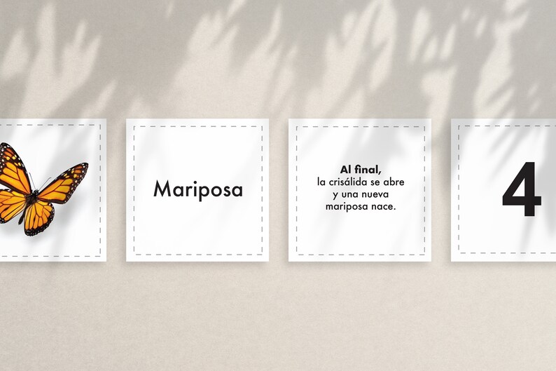 Spanish Life Cycle of a Butterfly Montessori / Digital 3 Flashcards ...