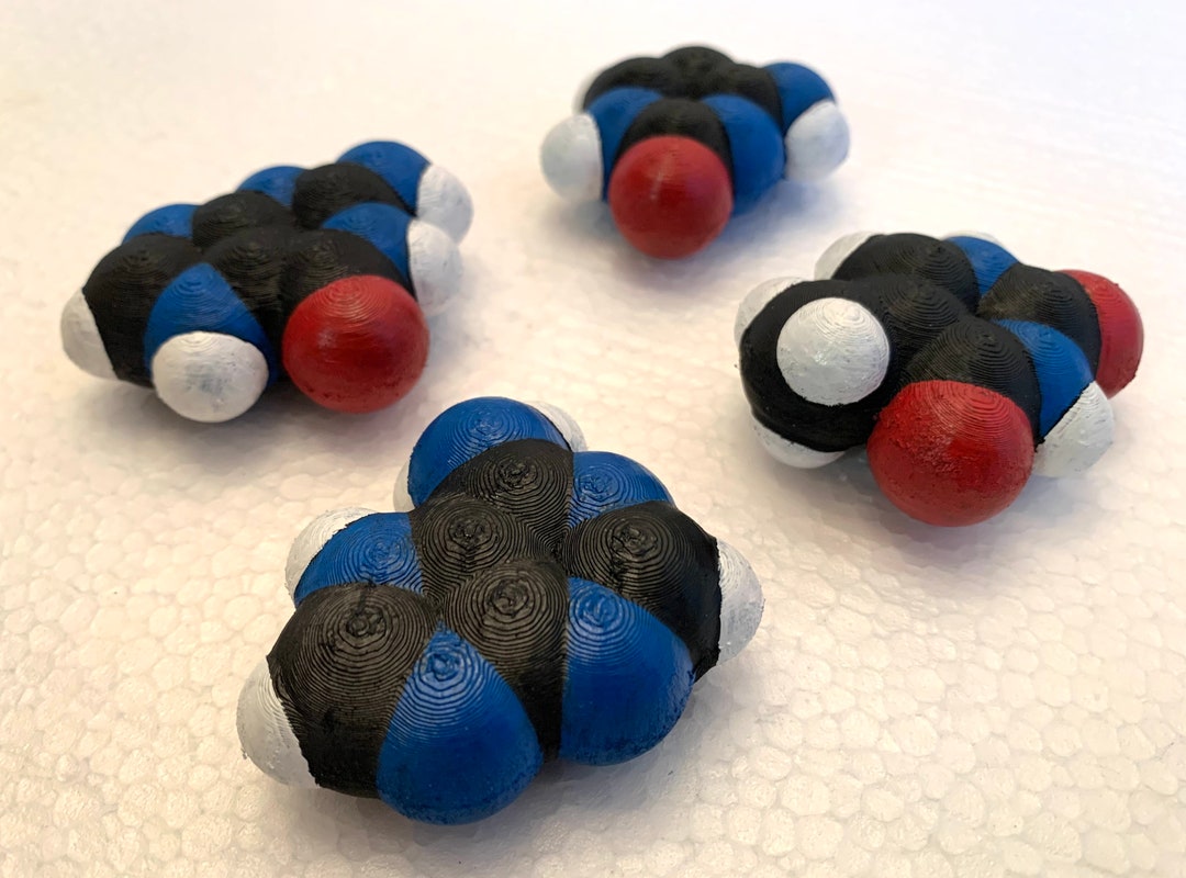 ATGC Base Purine Pyridine Model Set (3D Printed in PLA and Painted) - Etsy