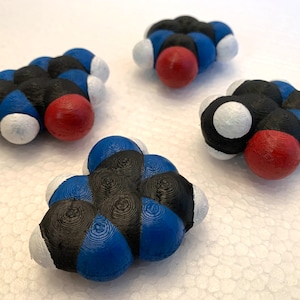 ATGC Base Purine Pyridine Model Set (3D Printed in PLA and Painted) - Etsy