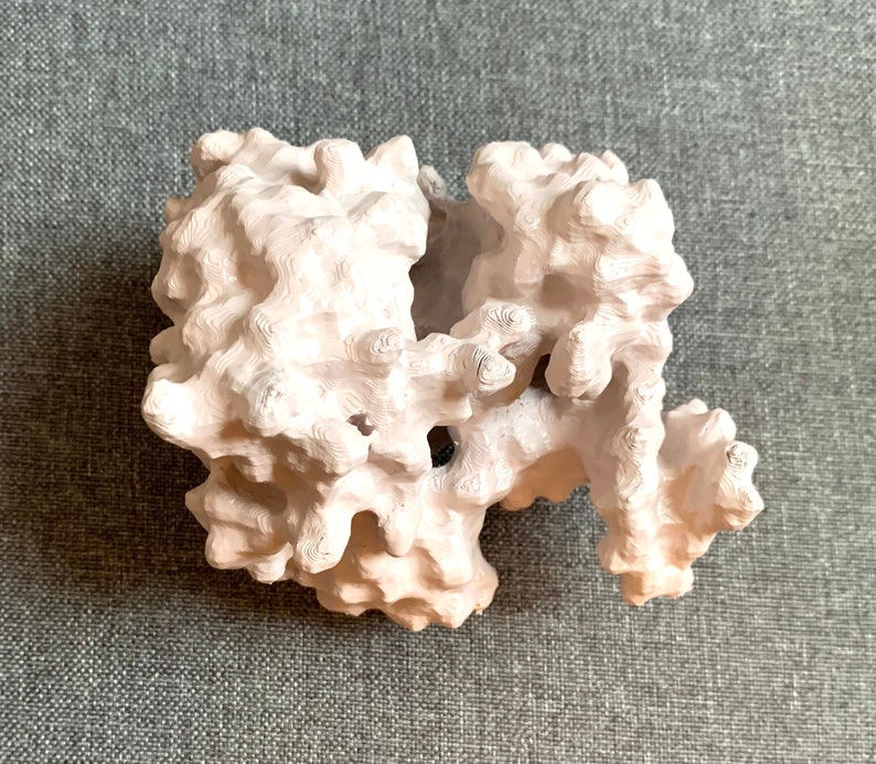 DNA Polymerase Complex Model (3D Printed in PLA and Painted) - Etsy