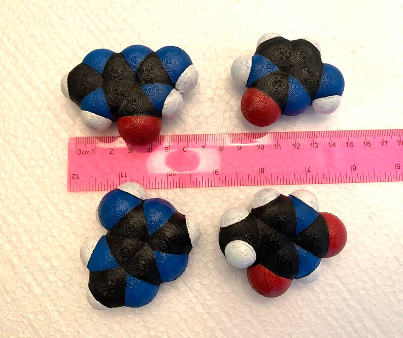 ATGC Base Purine Pyridine Model Set (3D Printed in PLA and Painted) - Etsy