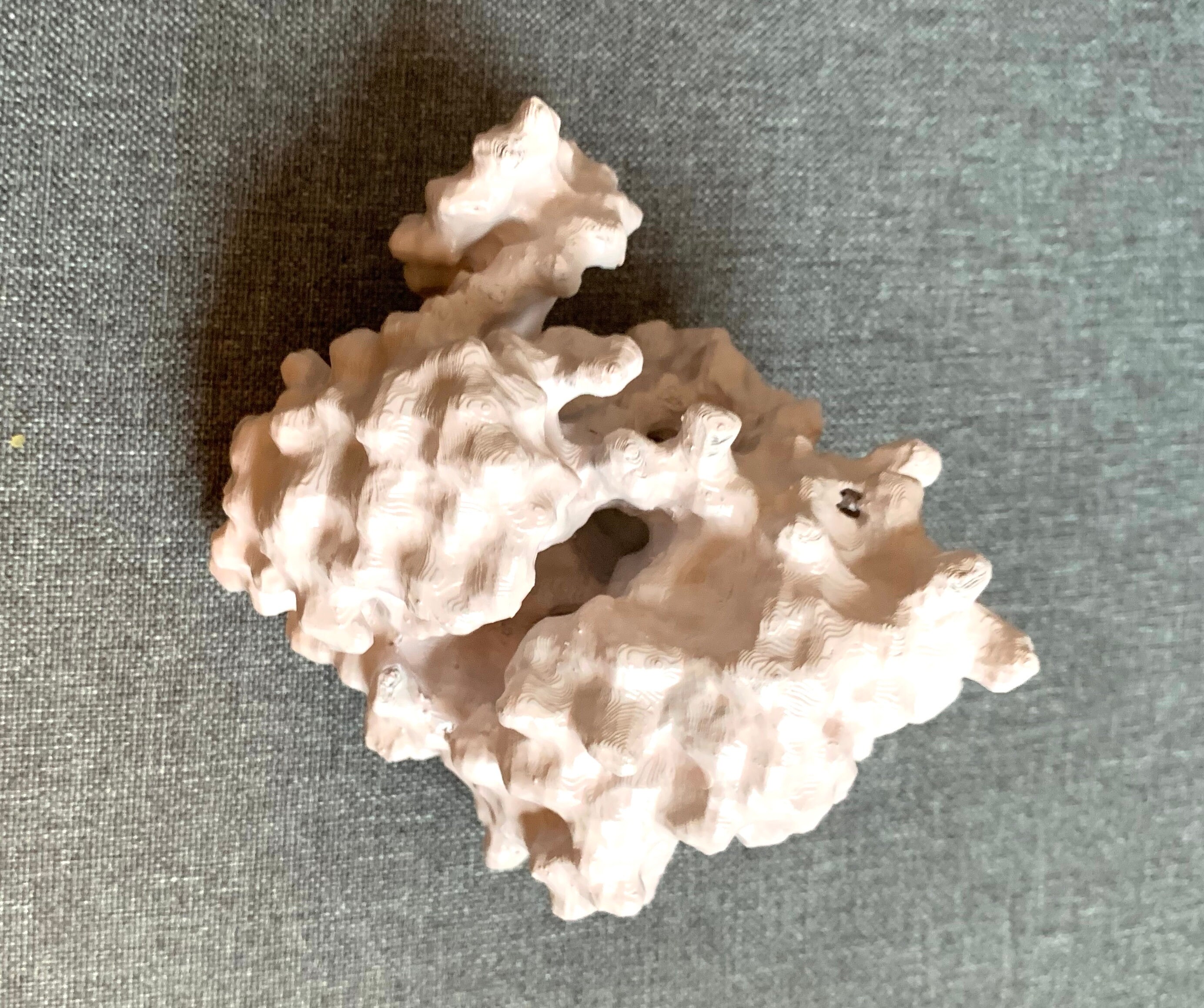DNA Polymerase Complex Model (3D Printed in PLA and Painted) - Etsy