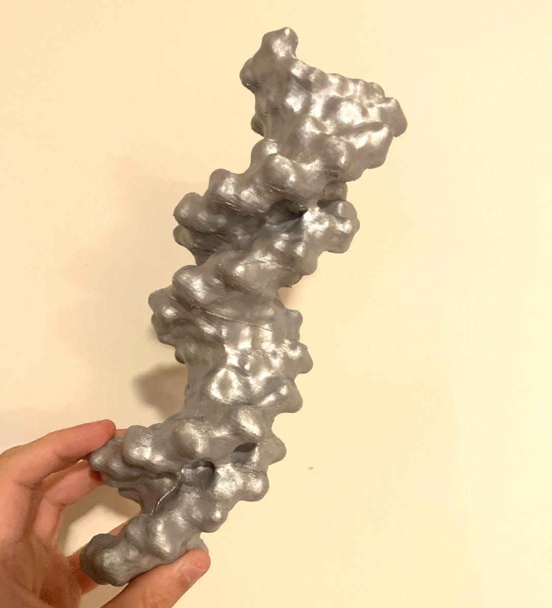 DNA Space-filling Molecular Model (3D Printed in PLA and Painted ...