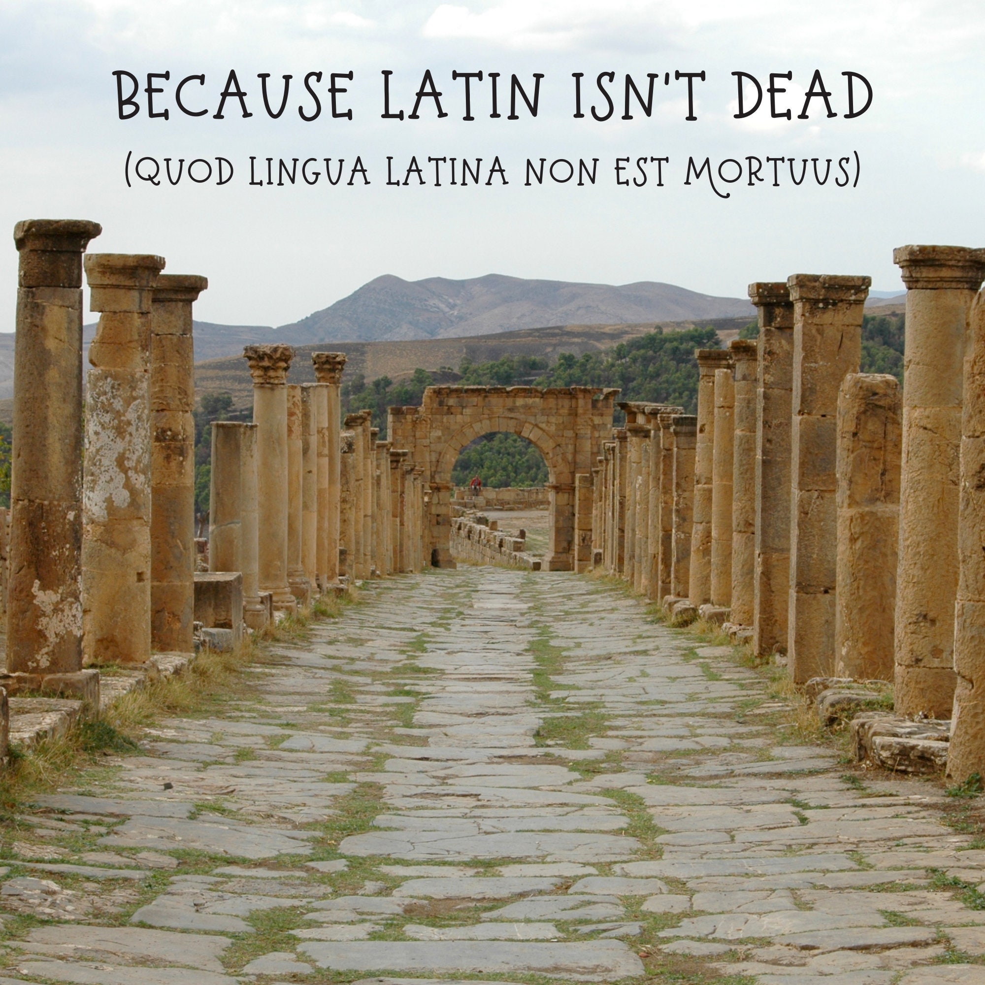 How to Make Latin Fun, Latin Teacher, Latin Language, Classical ...