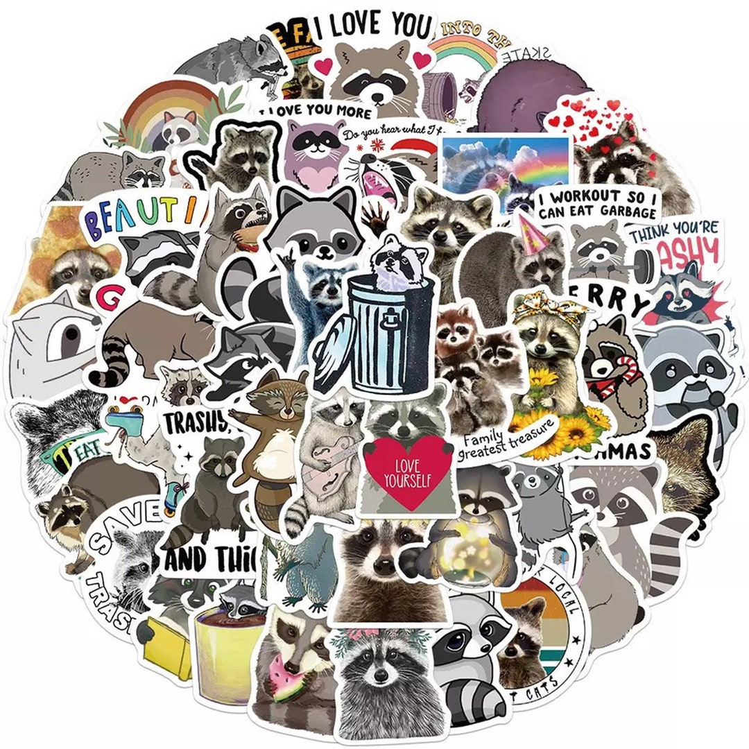 Cute Raccoon Sticker Pack Funny Animal Themed Stickers - Etsy