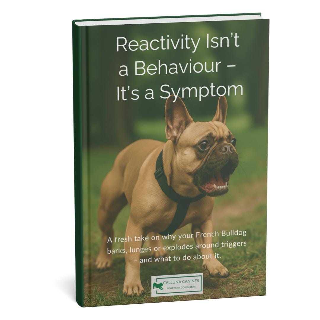 Help for Your Reactive Dog – Printable Dog Reactivity Starter Guide ...