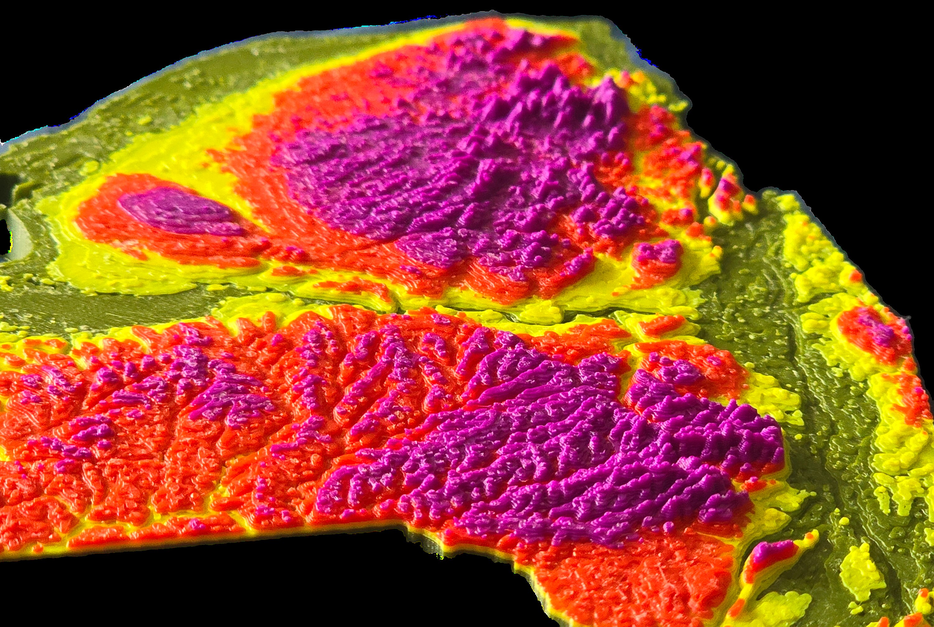 3D Topographic Heatmap of New York State Colorful Elevation Map Art ...