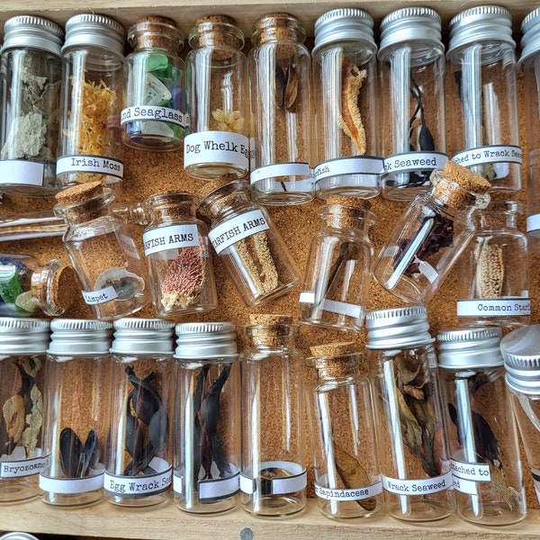 Specimen Jar - Etsy