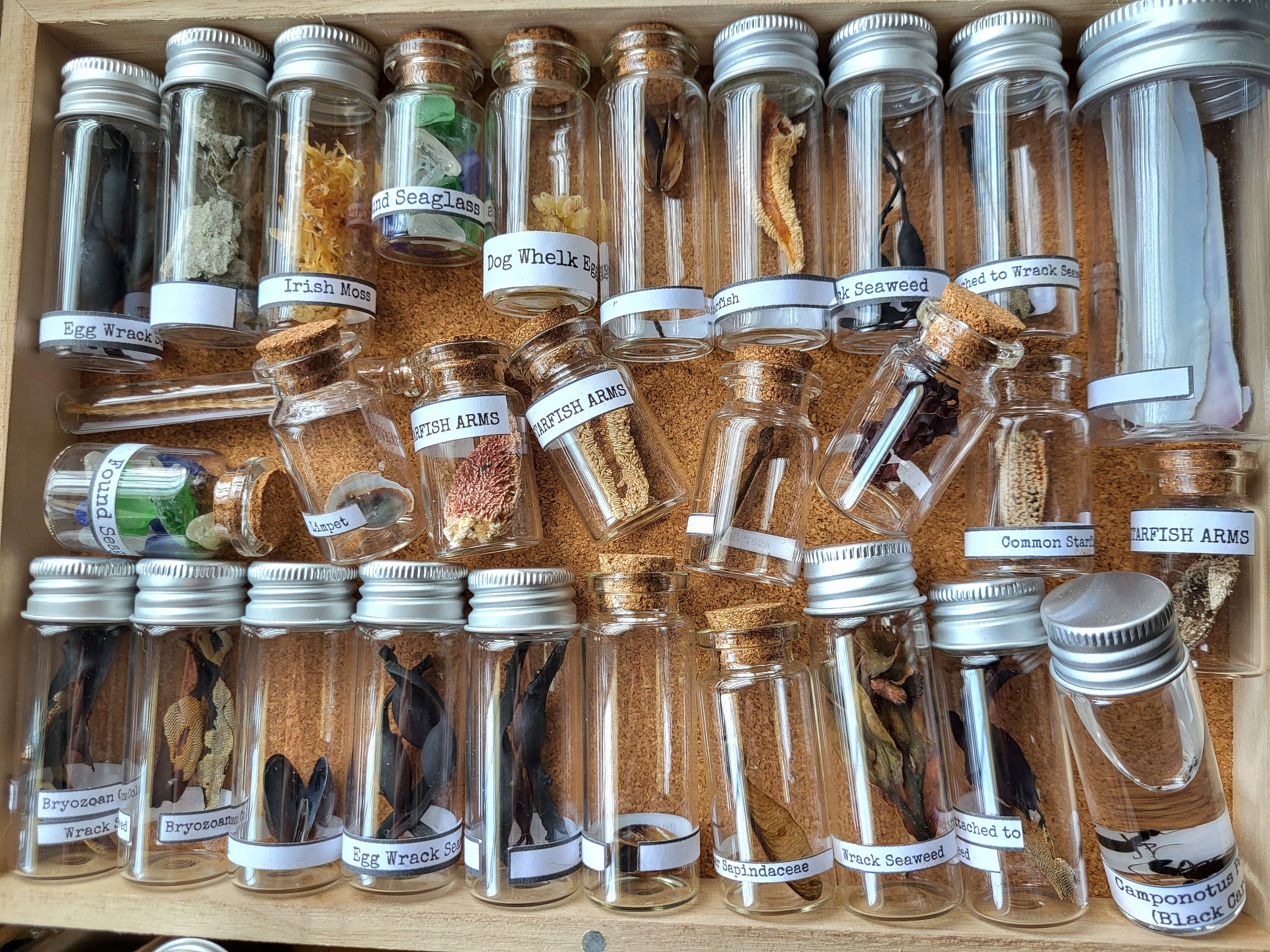 Specimen Jar