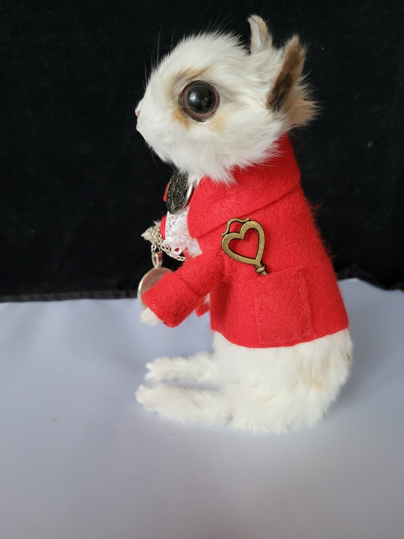 Taxidermy Rabbit Bunny - Etsy