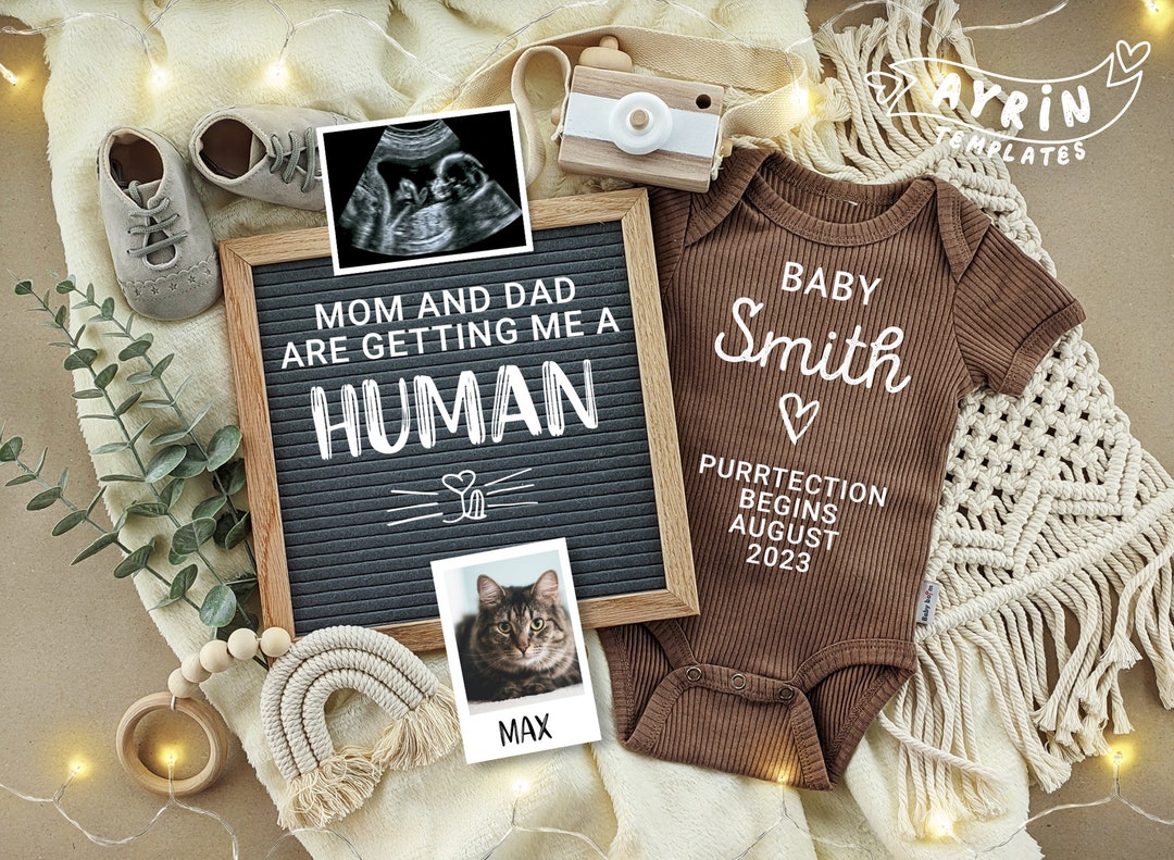 Cat Pregnancy Announcement for Social Media, Pet Pregnancy Announcement ...