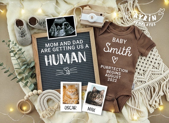Menselijke Kat Baby Eerste Kat? Hier Moet Je Op Letten! (uitgebreide