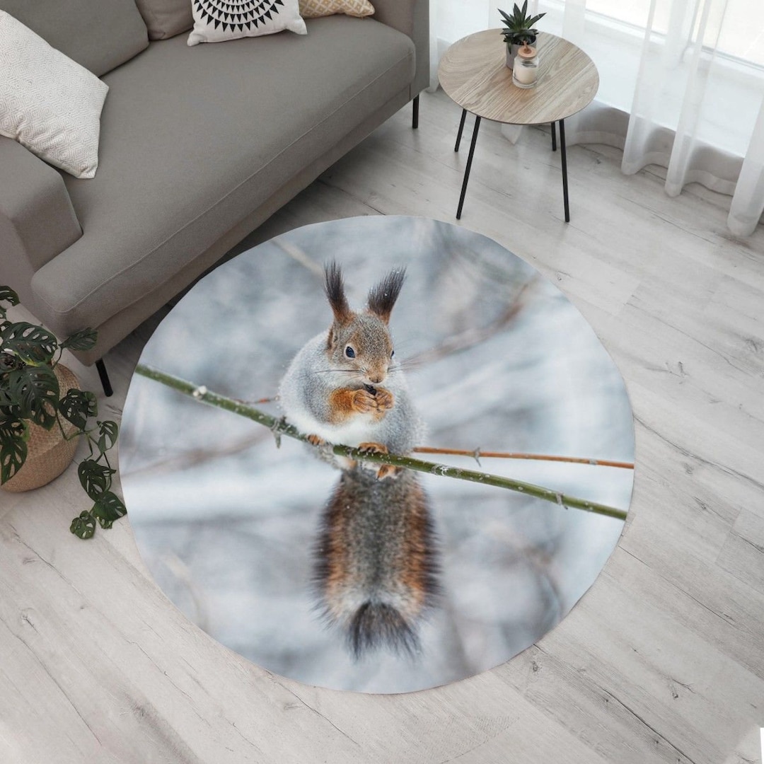 Squirrel Circle Rugs Wild Animal Round Rugs Artwork Art - Etsy