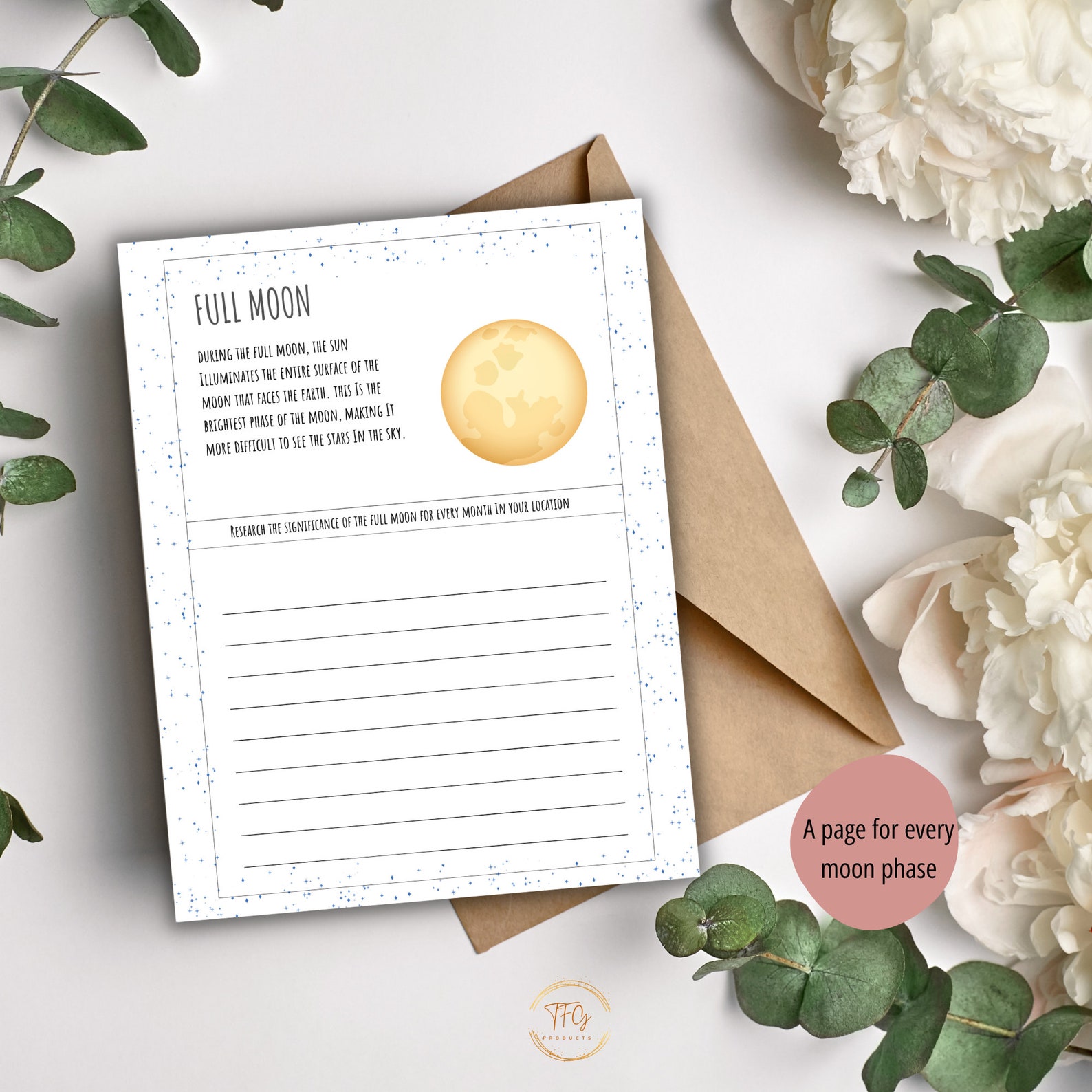 Moon Phase Mini Study|nature Study|instant Download|printable - Etsy