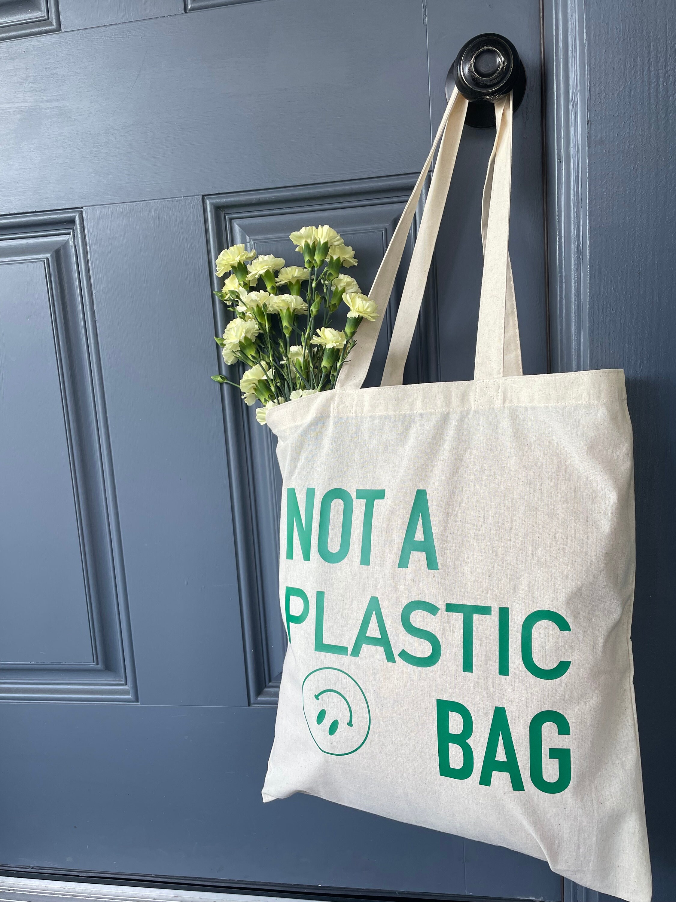 Not a Plastic Bag- Canvas Bag - Etsy