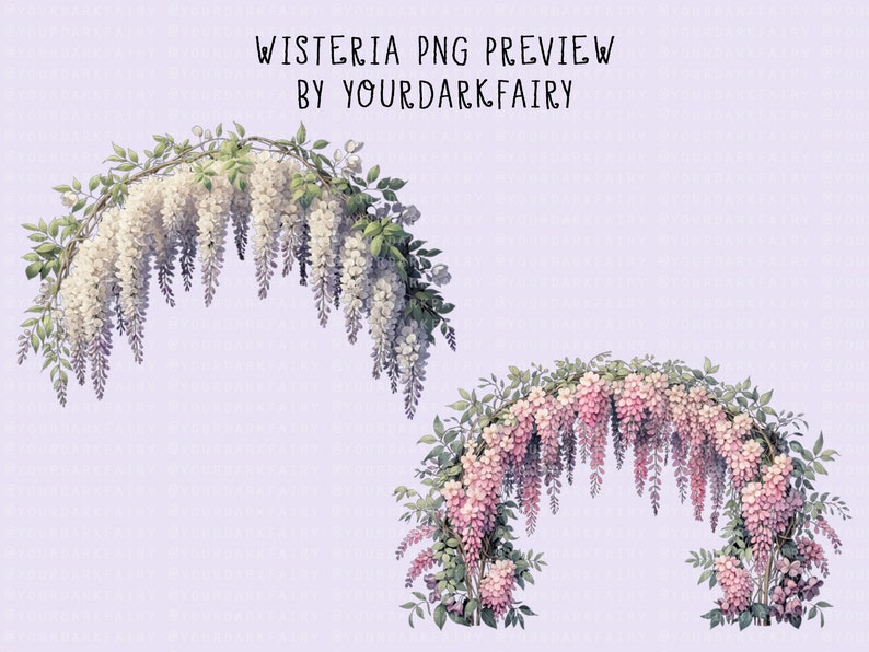 Wisteria Flowers Clipart PNG Bundle - 10 Large 4k Decorative ...