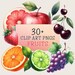 Watercolor Fruit Clip Art PNG Pack - 30+ Healthy Food Stock Images ...