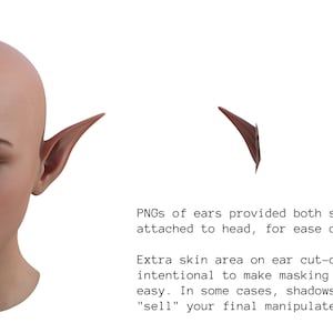 Diverse Elf Ear Shapes Six Pack - High Quality Stock Elf Ear Png Images ...
