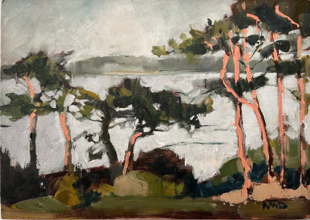 Original Framed Oil Painting of ‘coastal Pines at Thatcher Point’ Devon ...