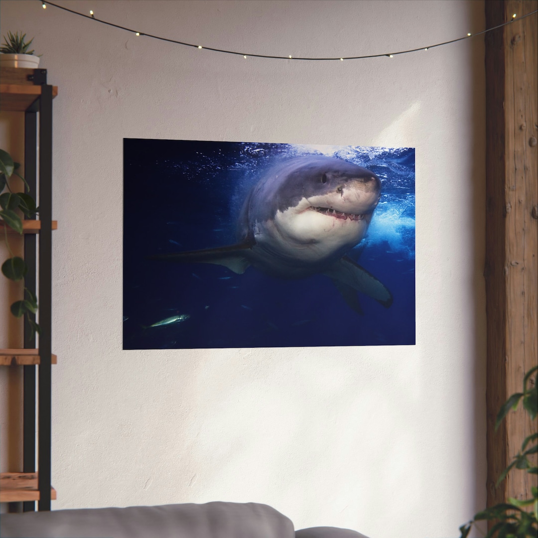 Great White Shark Poster Print 1A, Shark Wall Art Gift, Shark Fish ...