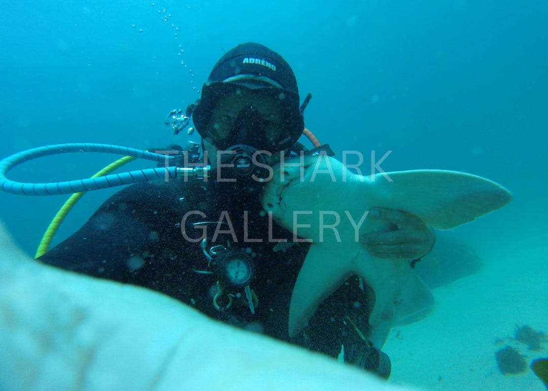 Scuba Diver Cuddling Shark Cute Photo Print Shark Art Decor Fish Art ...