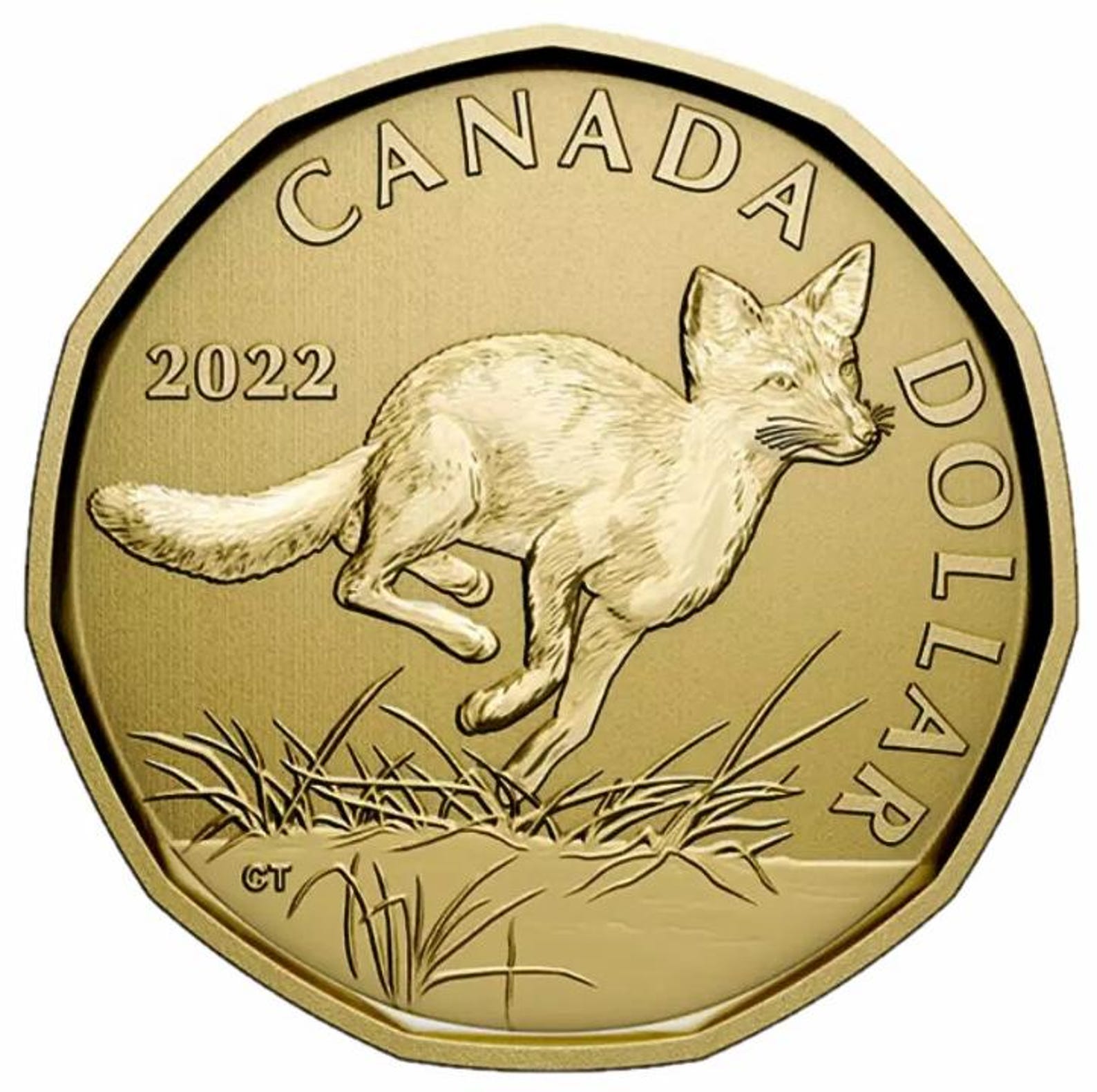 Canada 2022 - Swift Fox - Specimen Loonie!! - Etsy Canada