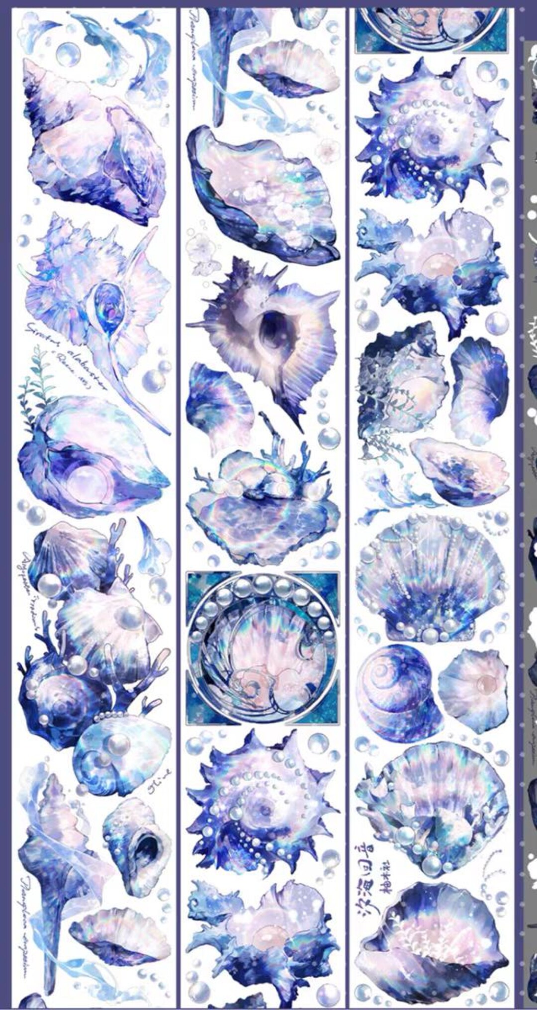 Ocean Shells Iridescent Emboss Clear PET Tape / Washi Tape 6x100cm - Etsy