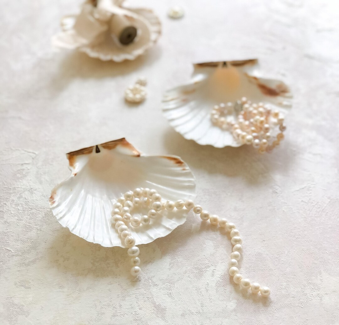Natural Sea Shell Pearl White ~ Wedding Photography Flat Lay Styling ...