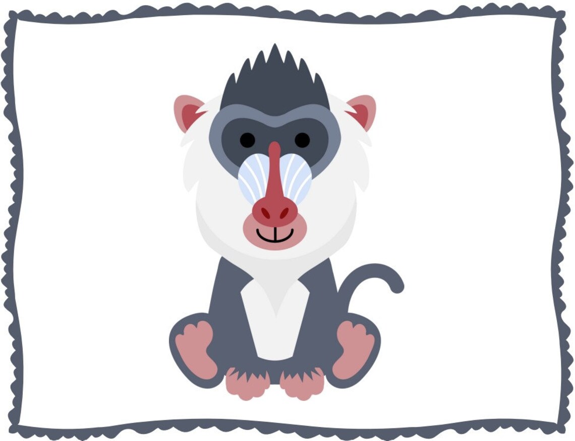 Animal Alphabet Border Posters | Alphabet Posters Kindergarten and Pre ...