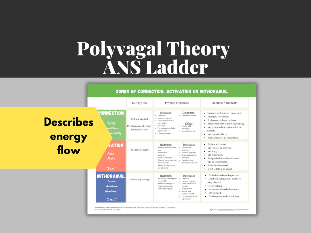ANS Ladder Infographic Energy Flow Polyvagal Theory - Etsy