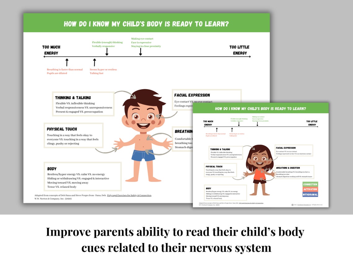Savings Bundle ANS Ladders Neuroceptive Cues Reading Body Cues Visual ...