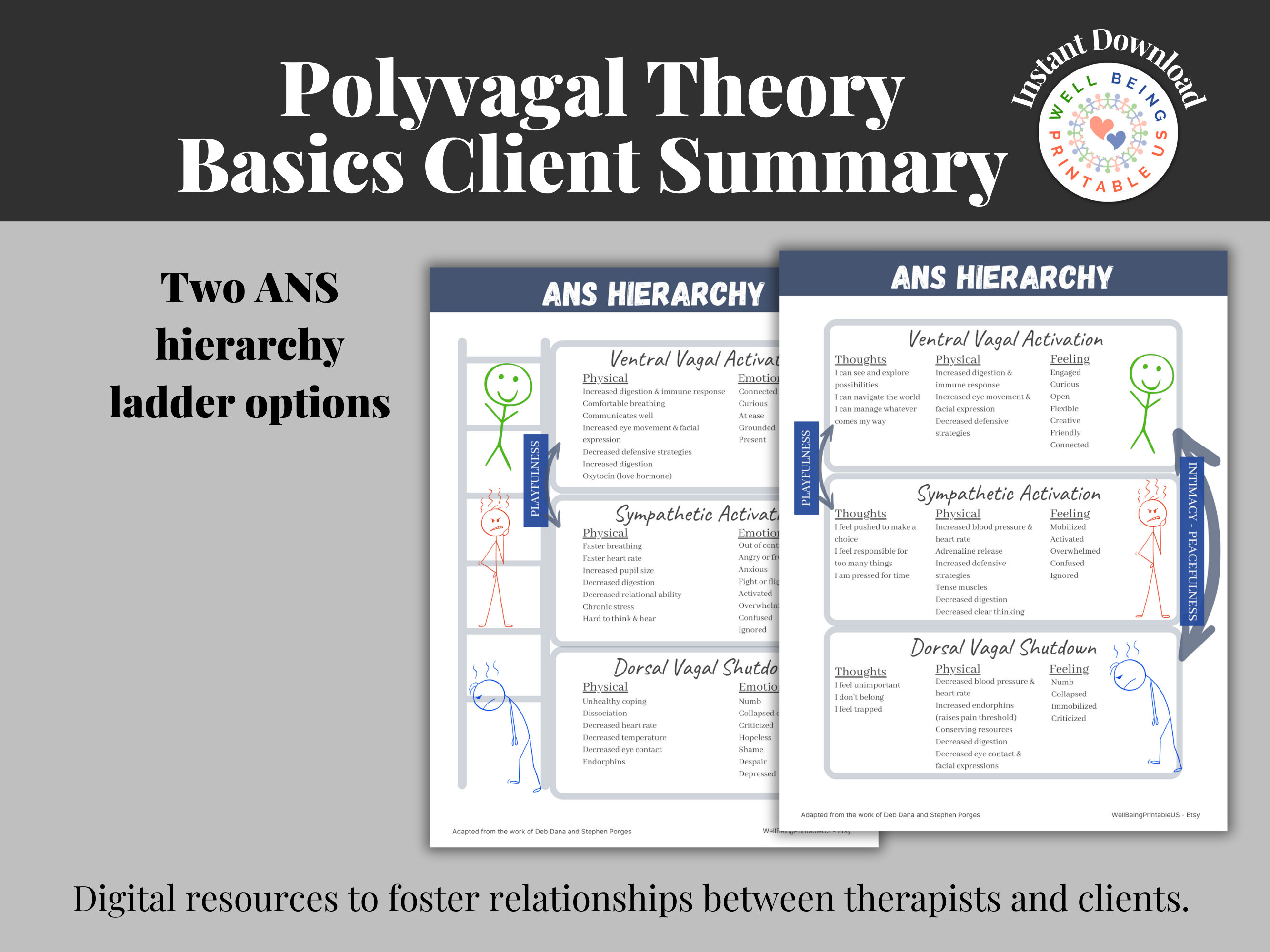 Polyvagal Theory Basics Infographic Neuroception ANS Ladder Co ...