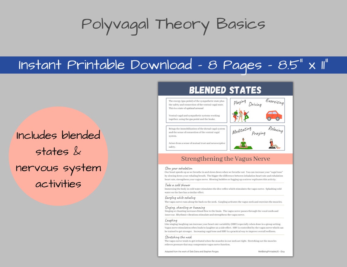 Polyvagal Theory Basics Infographic Neuroception ANS - Etsy