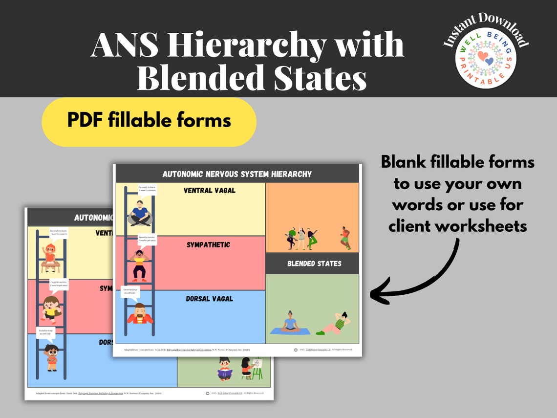 ANS Ladder Infographic | Blended States | Polyvagal Theory - Etsy