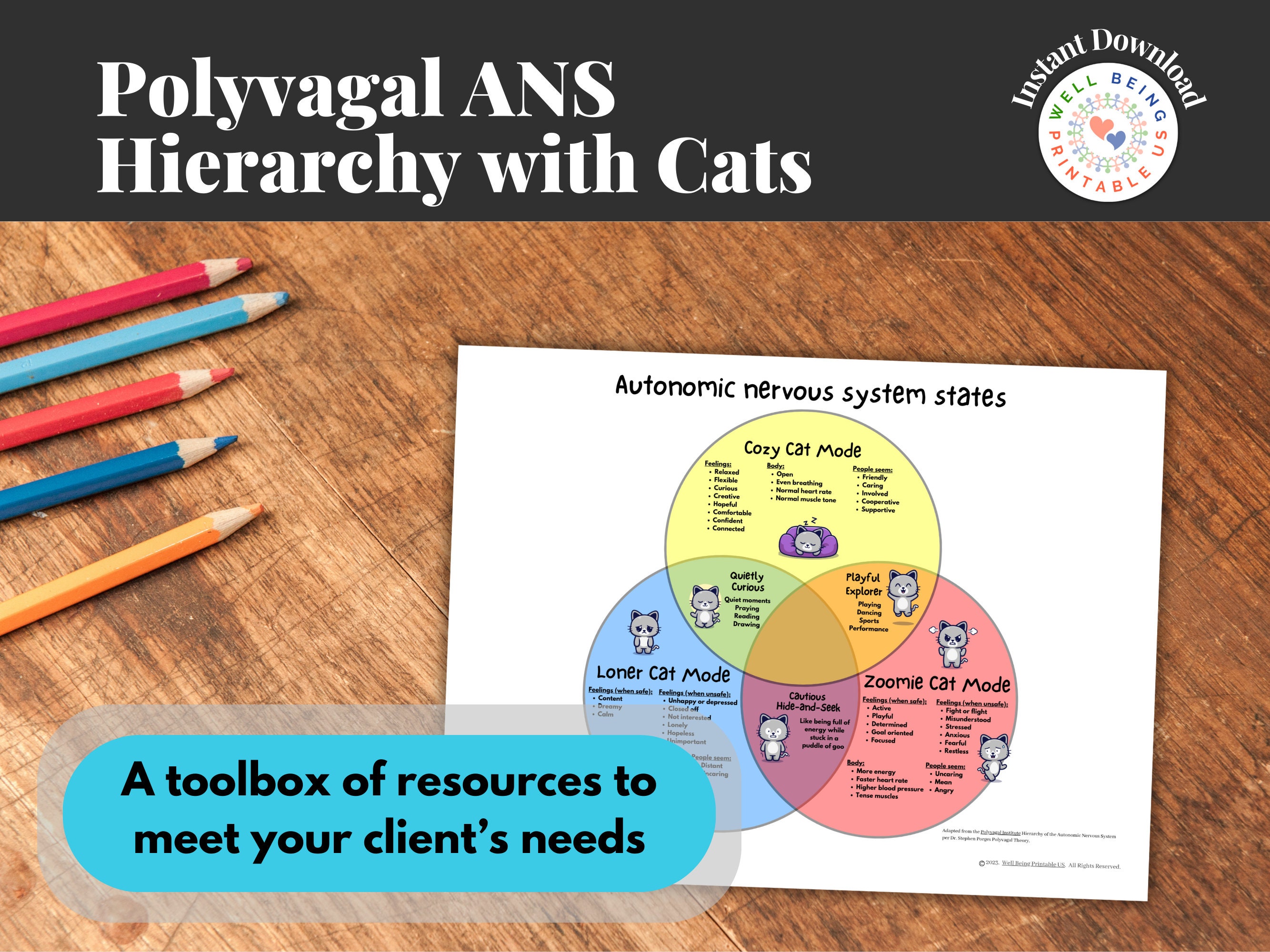 Polyvagal ANS Body States With Cats Worksheets | Mental Health Digital ...