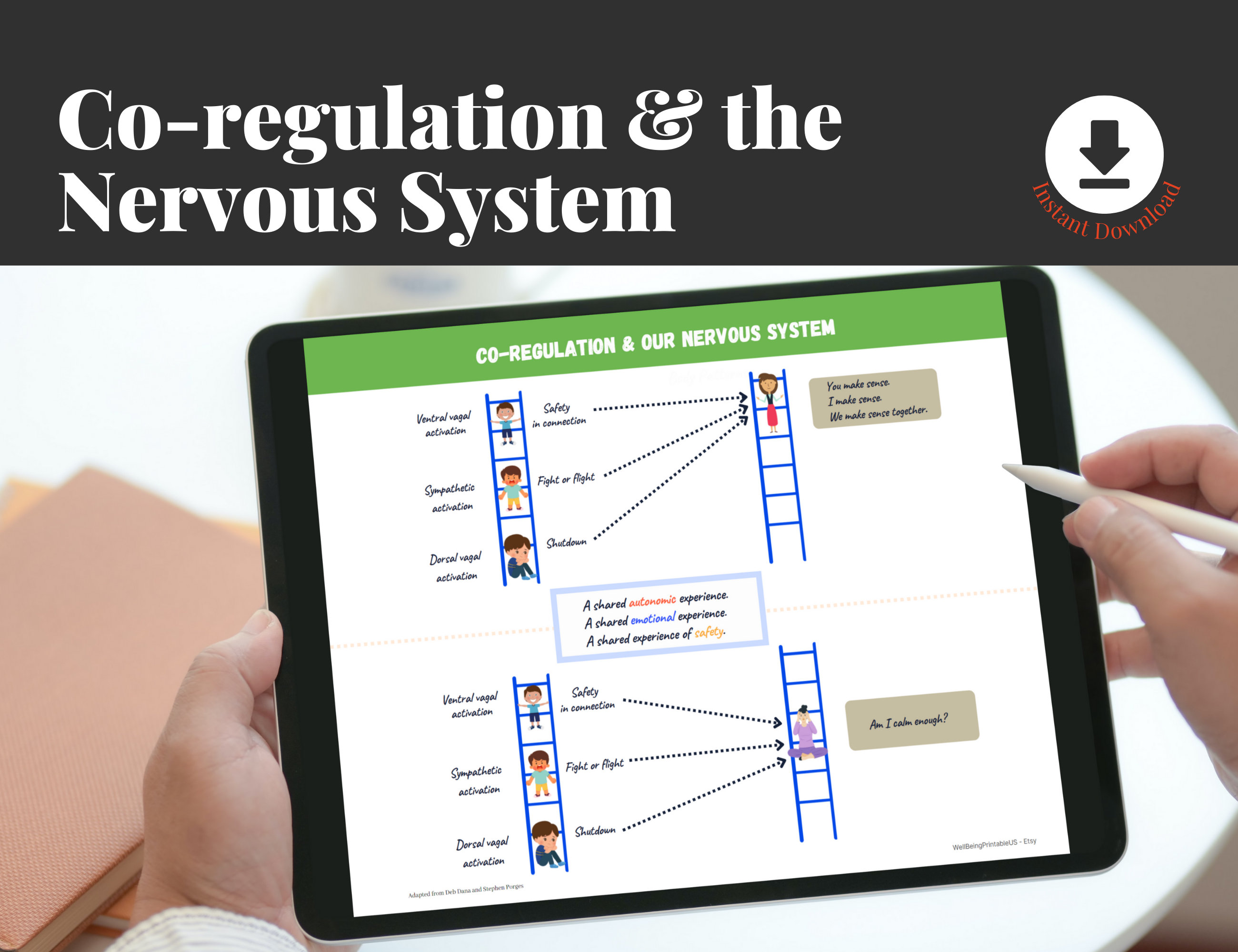 Co-regulation & Nervous System Polyvagal Worksheet Polyvagal - Etsy
