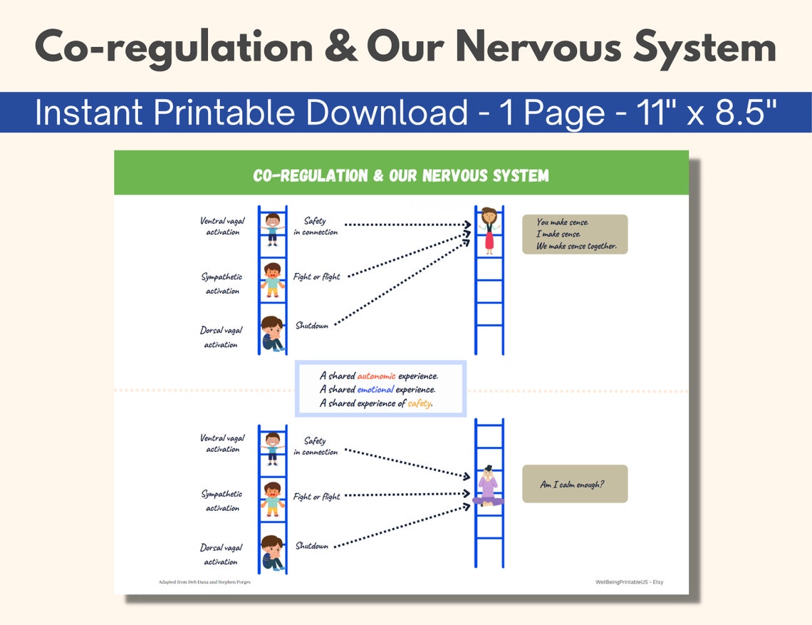 Co-regulation & Our Nervous System Infographic Polyvagal | Etsy