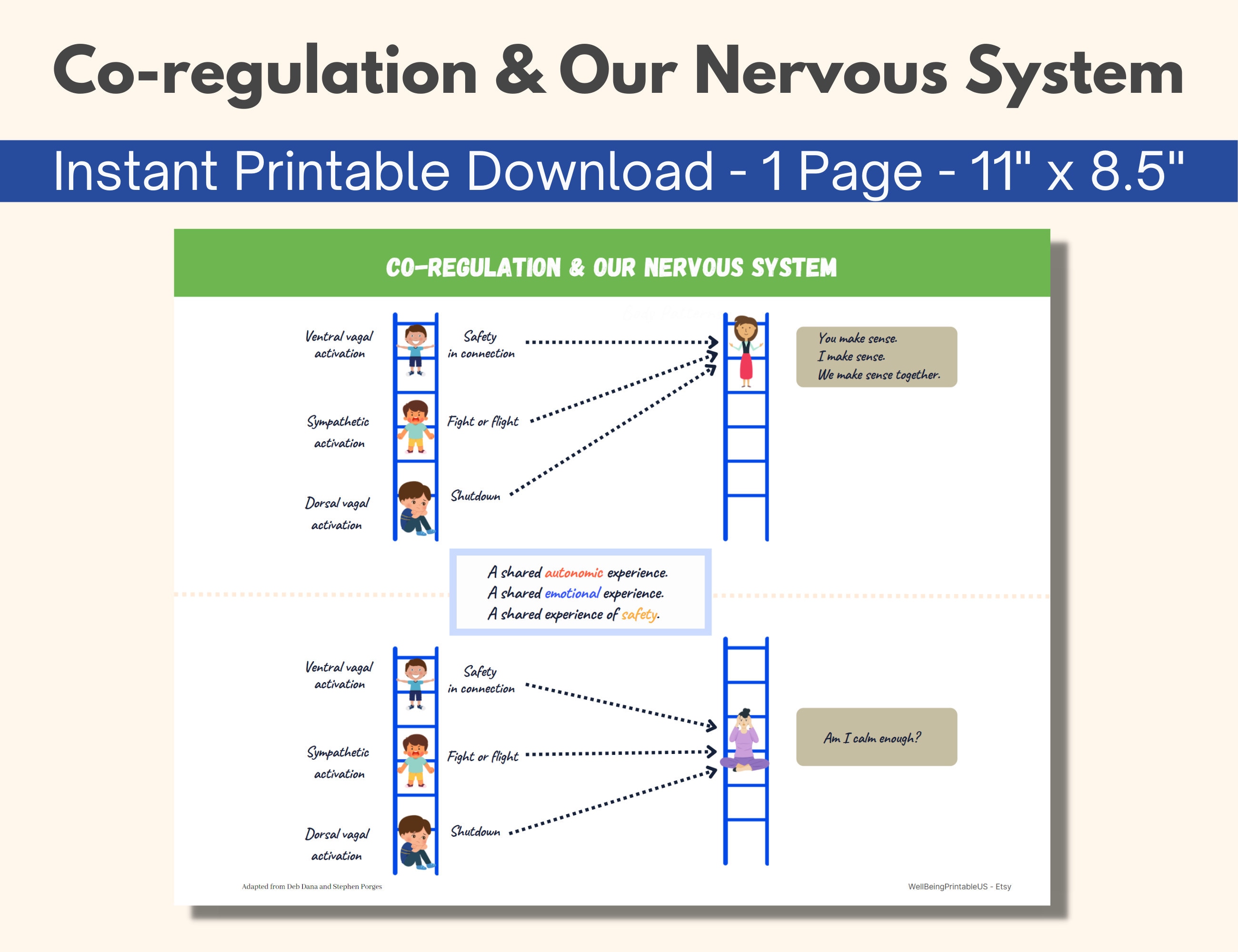 Co-regulation & Our Nervous System Infographic Polyvagal | Etsy